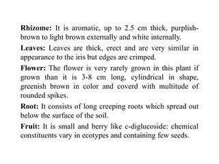 BOJO-ASSIGNMENT (1).pptx