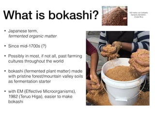 Bokashi Composting: The Bokashi Method of Recycling Food Waste | PDF