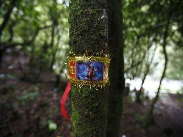 "Bol Bom" Pilgrimage in Kathmandu | PPT
