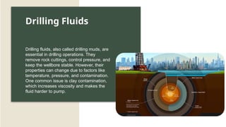 Bold Edudfddxvsv cdbbdbbcdgdgsggcation.pptx