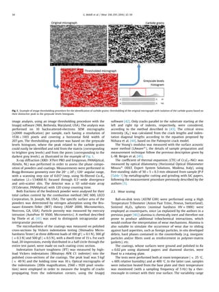 Bolelli2016 | PDF | Chemistry | Science