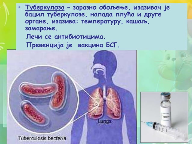 Bolesti organa za disanje | PPT