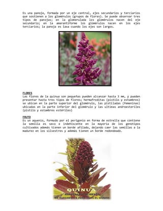 Boletin Tecnico del Cultivo de la Quinua | DOCX