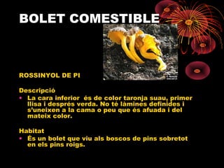 Bolets comestibles,no comestibles i toxics | PPT