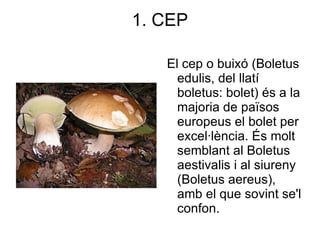 Bolets, consol. | ODP