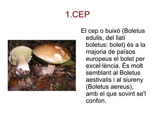 Exercici Bolets Elena | PPT