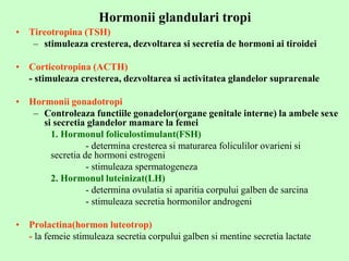 sistemul endocrin | PPT