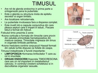 sistemul endocrin | PPT