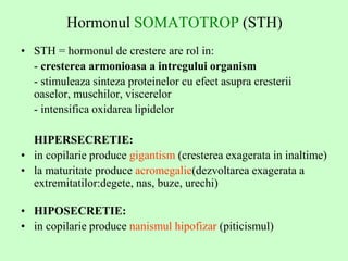 sistemul endocrin | PPT