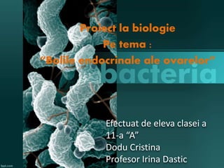 Boli endocrine ale ovarelor | PPT