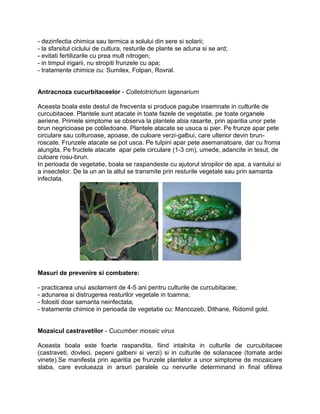 Boli la castraveti dovlecei pepeni | DOCX