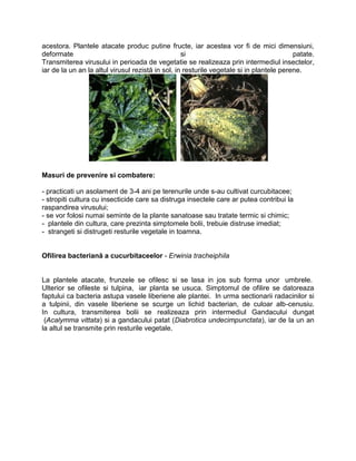 Boli la castraveti dovlecei pepeni | PDF