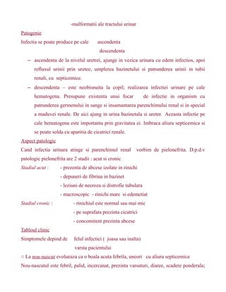 Bolile ap.urinar ped. | PDF