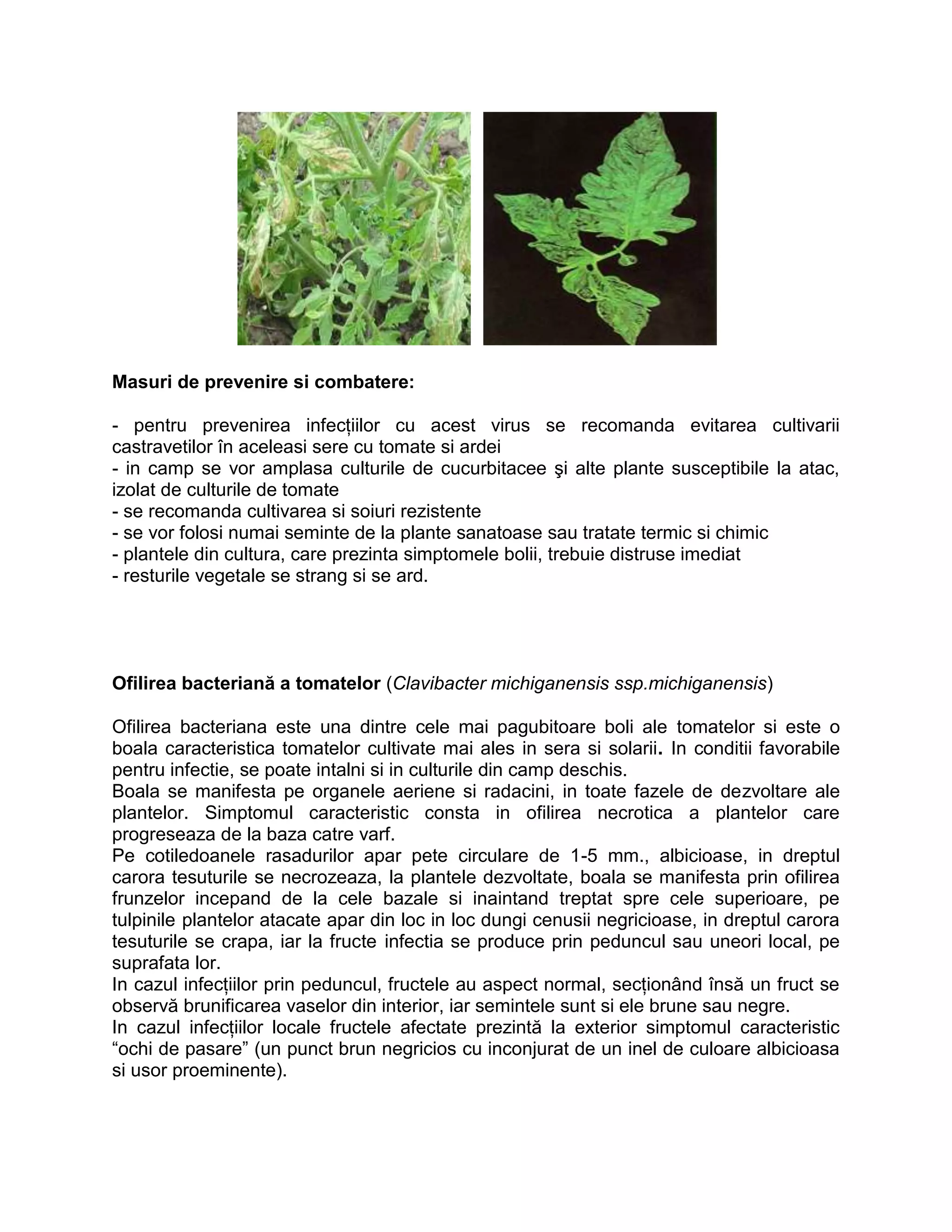 Bolile la tomate si tratamente | DOCX