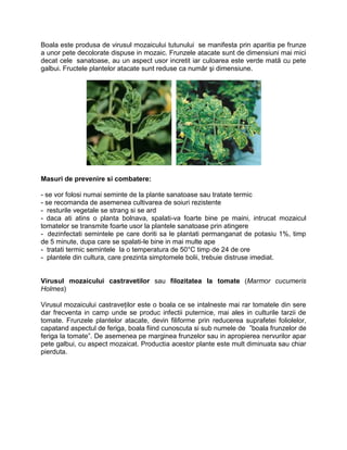 Bolile la tomate si tratamente | DOCX
