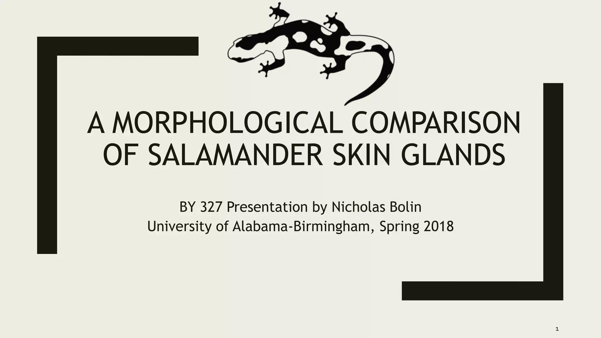 A Morphological Comparison of Salamander Skin Glands | PPTX