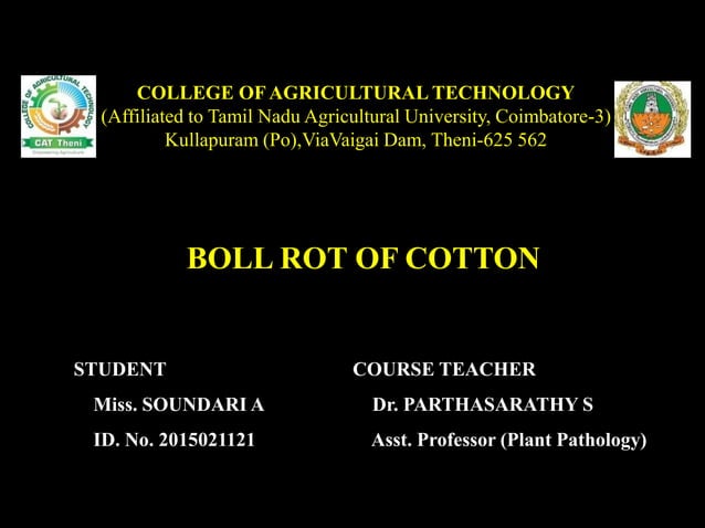 Boll rot ppt | PPTX | Gardening | Home & Garden