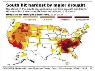 Boll Weevil and Drought in Georgia Presentation | PPT