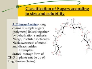 ZOO1-Bological molecules | PPT | Chemistry | Science