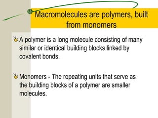ZOO1-Bological molecules | PPT