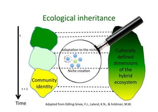 Spatial narratives in hybrid ecosystems | PPT