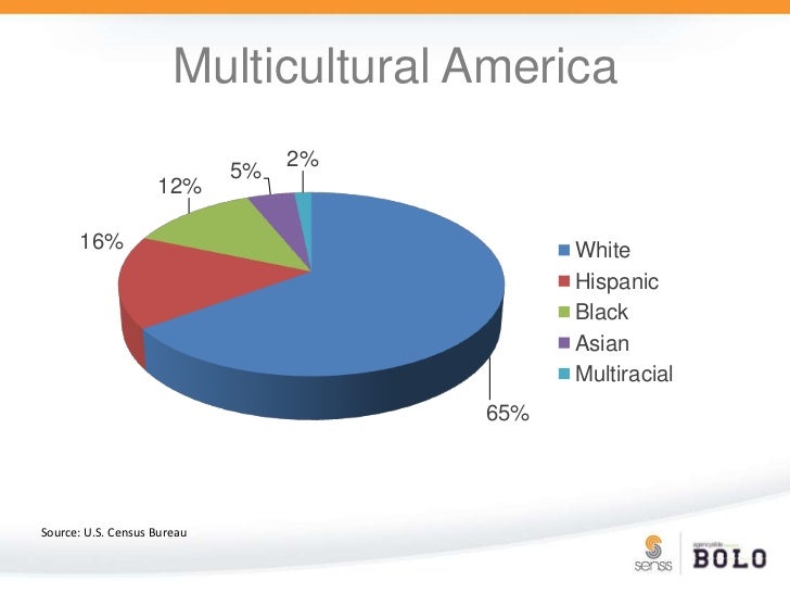 Multicultural marketing in the digital age: Integrating Multicultural…
