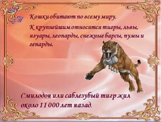 Bolshie koshki | PDF