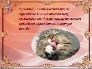 Bolshie koshki | PDF