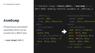Adding a BOLT pass | PPT