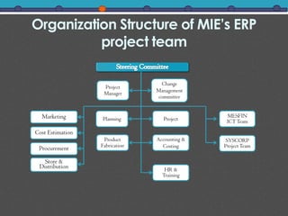 A Successful ERP Implementation in an Ethiopian Company | PDF