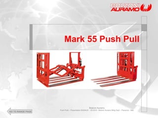 Bolzoni Auramo Push Pulls 2010 | PPT
