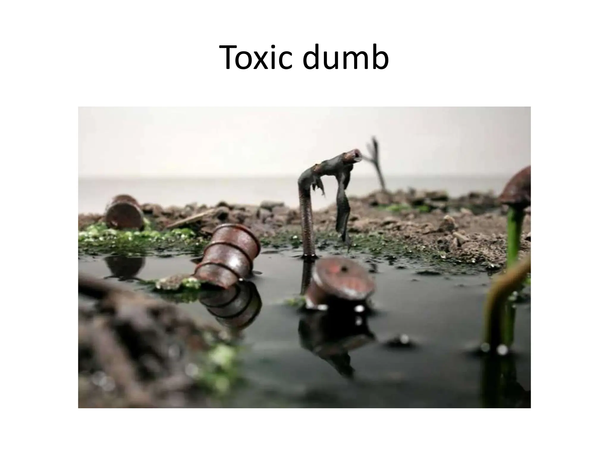 Bomako convention presentation.pptx