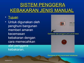 Bomba | PPT