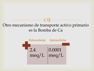Bomba de calcio | PPTX