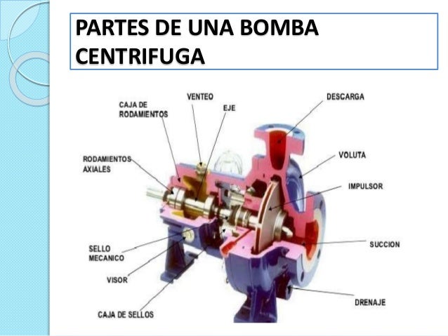 Diagrama Da Bomba De Diafragma