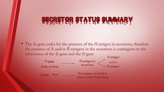 Bombay blood group | PDF