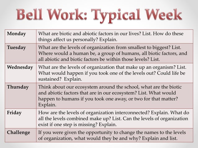 BellWork, Inside Outside Circle, Formative Assessment | PPT