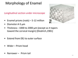 Bonding in Orthodontics | PPTX