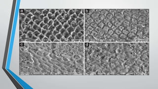 Presentation on Bonding Of Resin Based Materials | PPTX