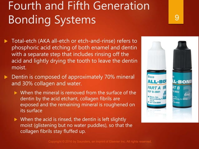 Bonding Systems 1 | PPTX