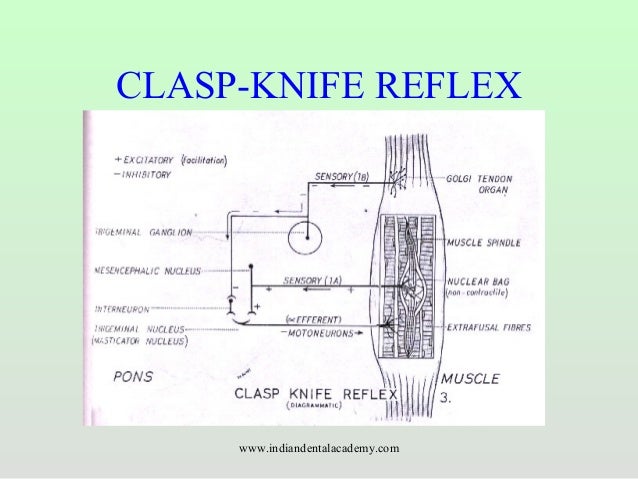 PRINCIPLES OF FUNCTIONAL APPLIANCES