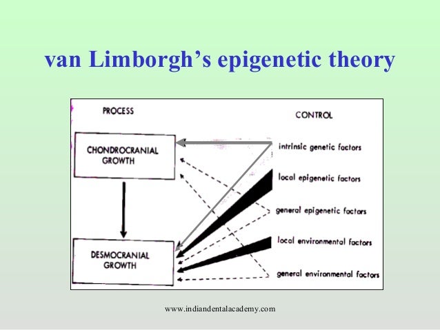 PRINCIPLES OF FUNCTIONAL APPLIANCES
