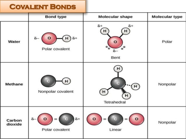 CHEMICAL BONDS AND WATER