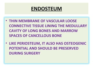 Bone | PPT