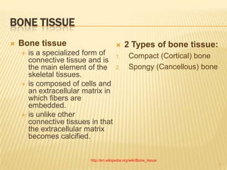 Bone | PPT