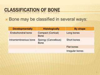 Bone | PPT