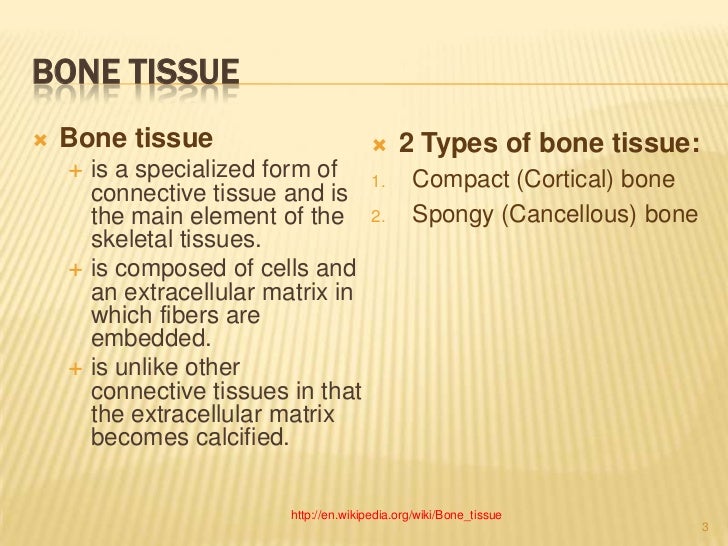 Bone bone