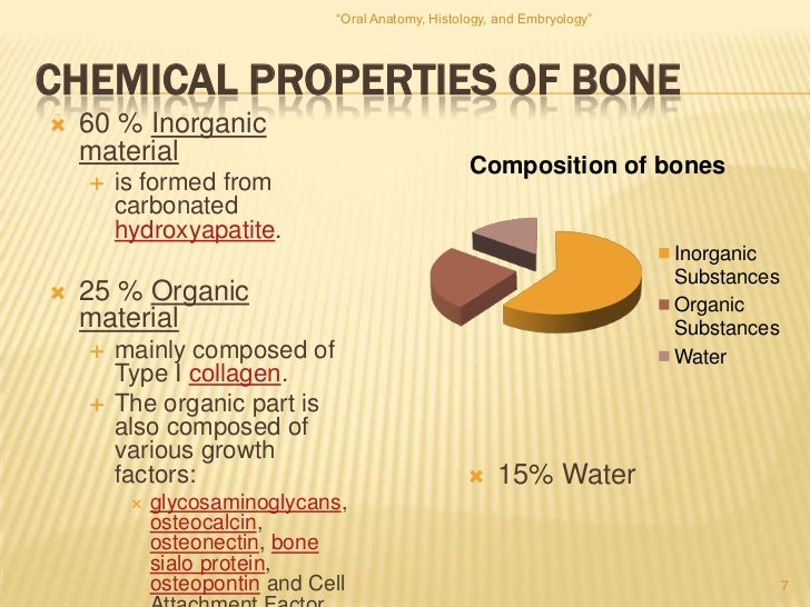 Bone Bone