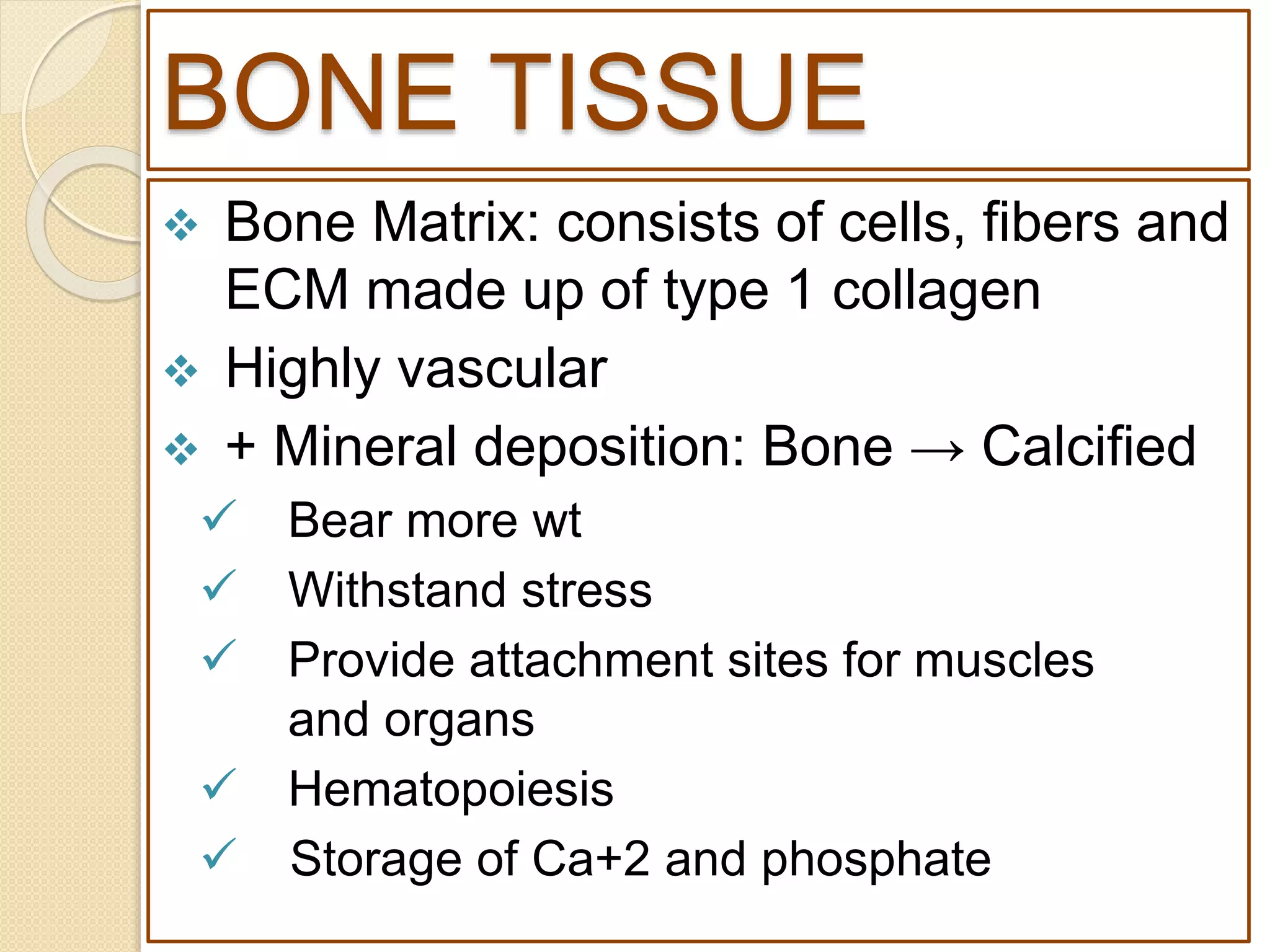 Histology - Specialized Connective Tissues (BONE) | PPTX