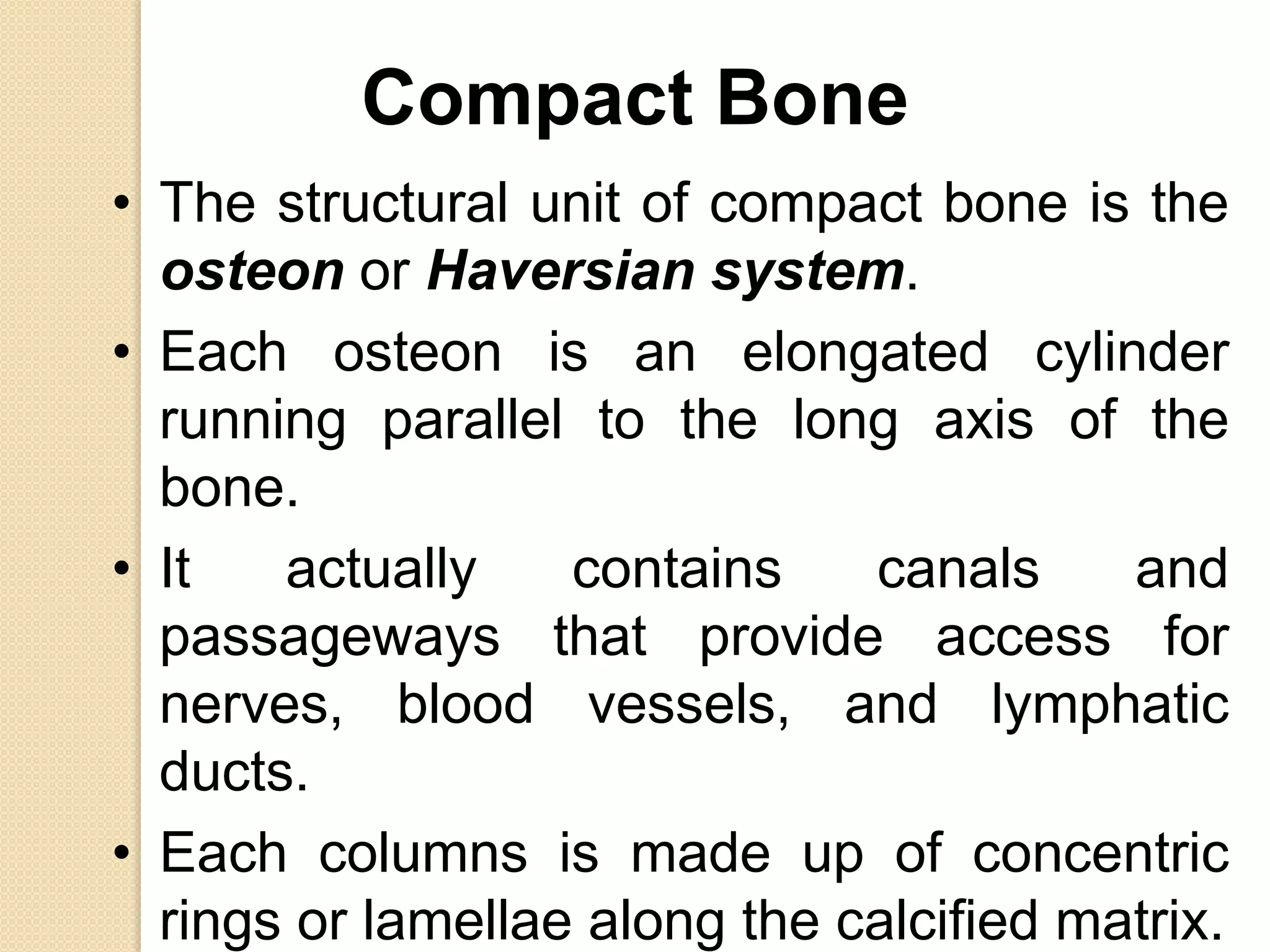 Histology - Specialized Connective Tissues (BONE) | PPTX